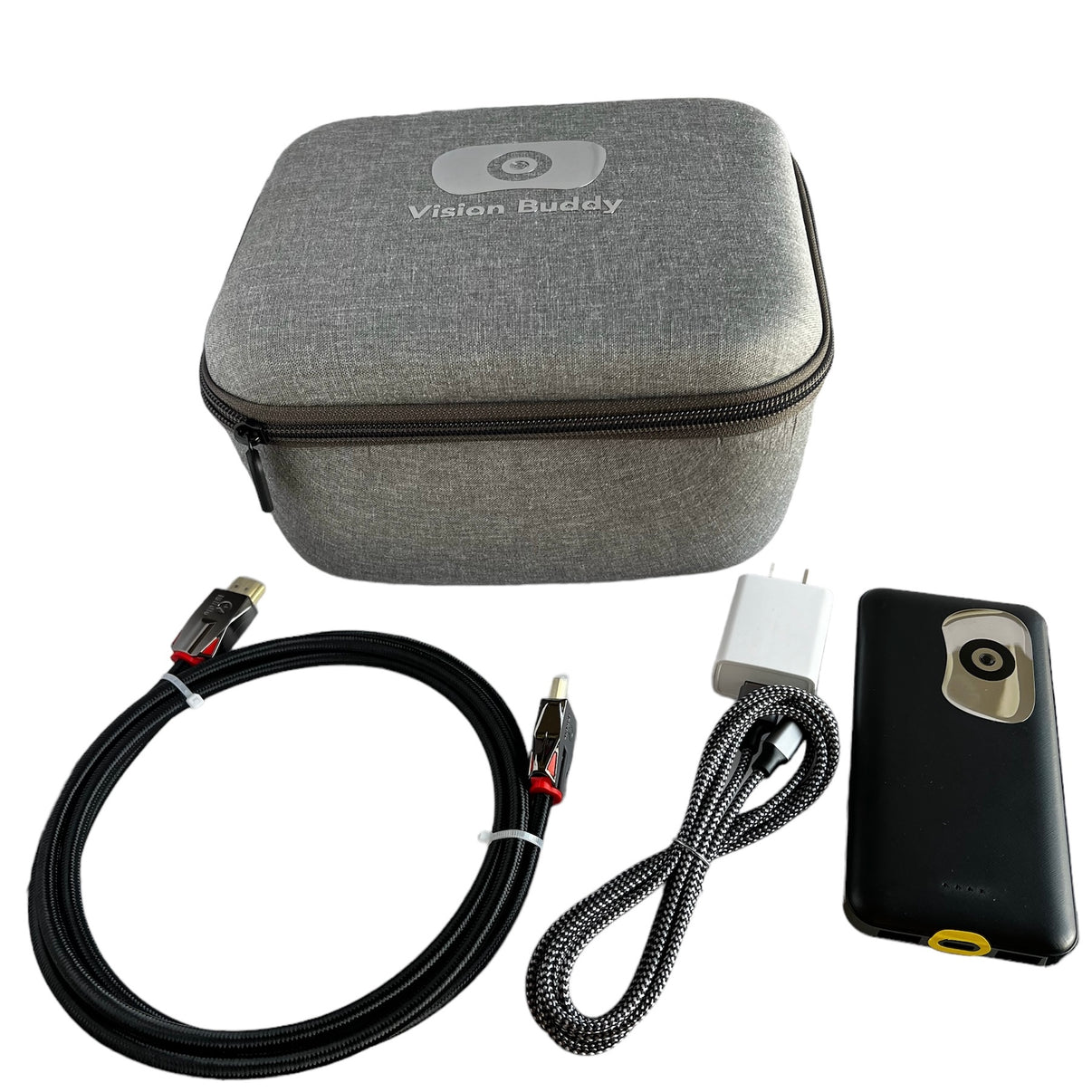 Vision Buddy 4 with Hub - Max - Special Order – CNIB SMARTLIFE